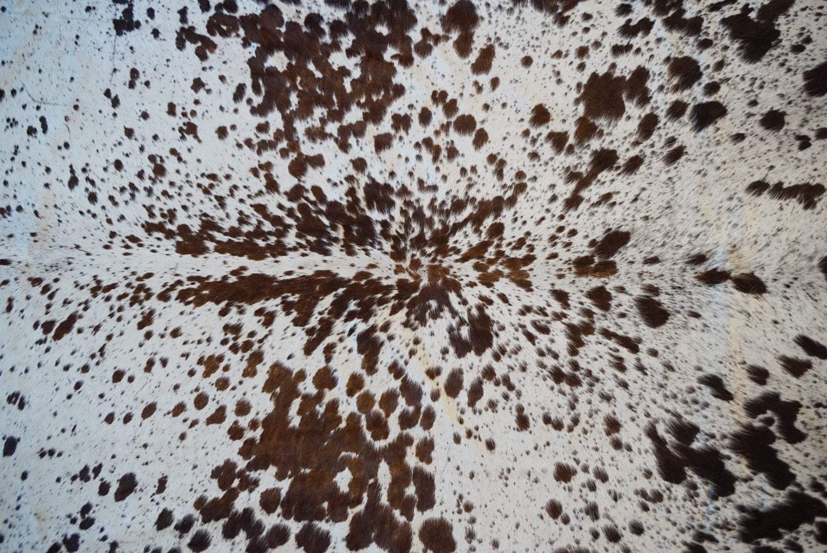 SHEEPSKIN – The Nguni Guy