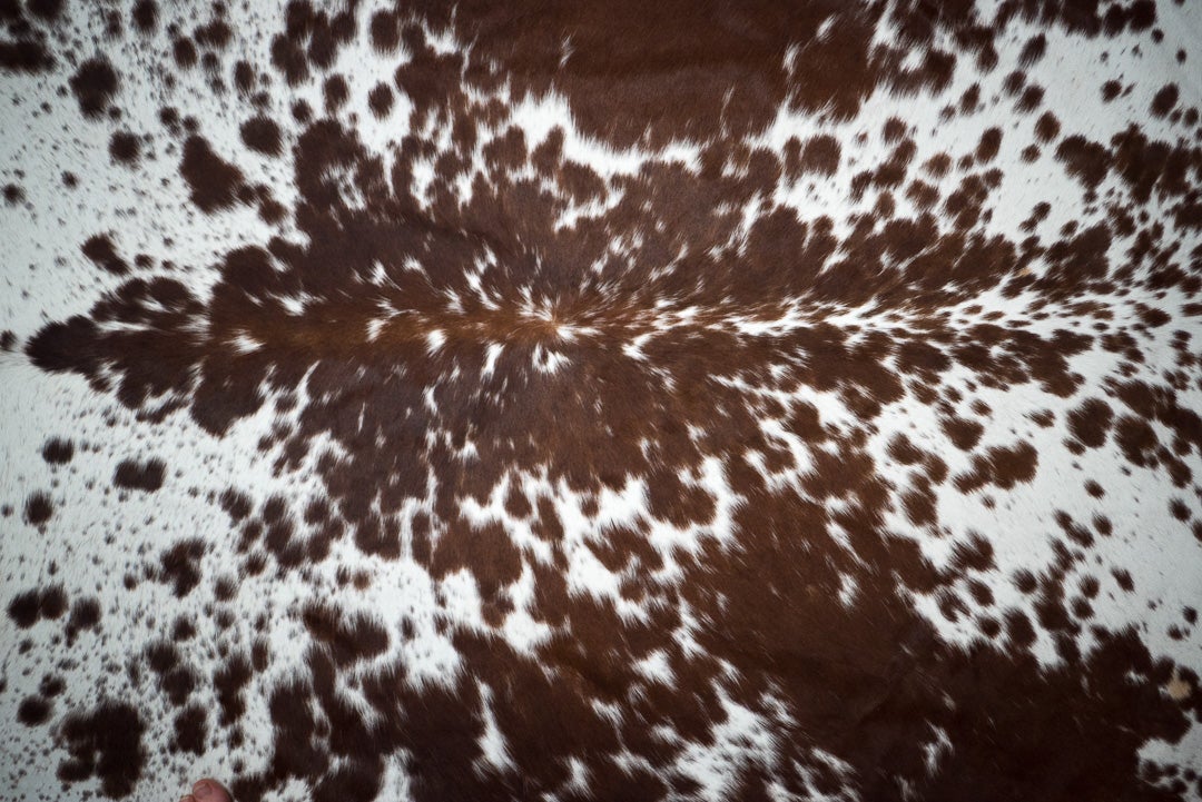 150+ Hand Selected Cowhides | THE NGUNI GUY – The Nguni Guy